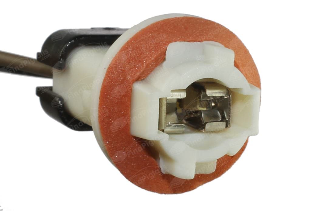 Ford License Plate & Side Marker Light Socket Assembly | FindPigtails.com