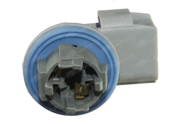 Ford Park, Side Marker & Back Up Socket | FindPigtails.com