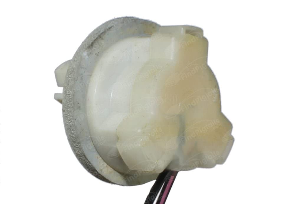 Ford Rear Lamp Socket Assembly | FindPigtails.com