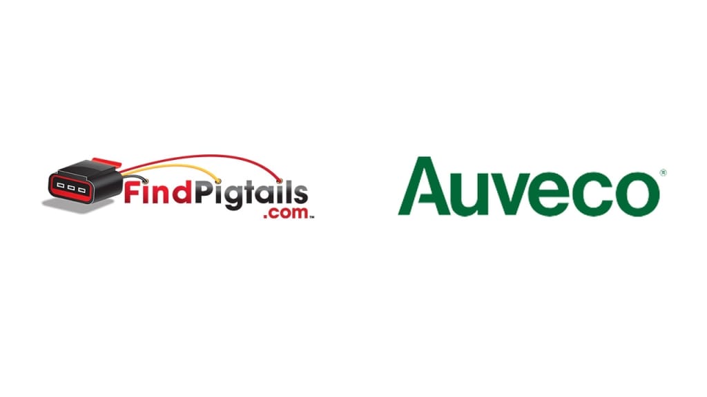 The Right Partnership Can be a Game-Changer: FindPigtails.com & Auveco ...